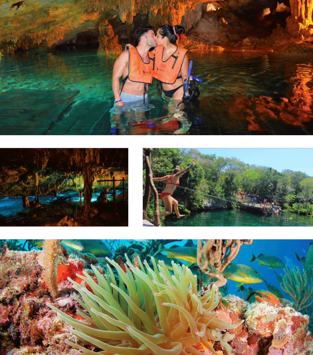 Adventure & Jungle Experiences – Tropical Elite Travel | SLS Playa Mujeres